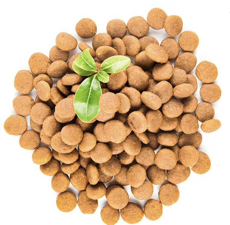 Unveiling the Mystery: A Deep Dive into the Commercial Pet Food ...